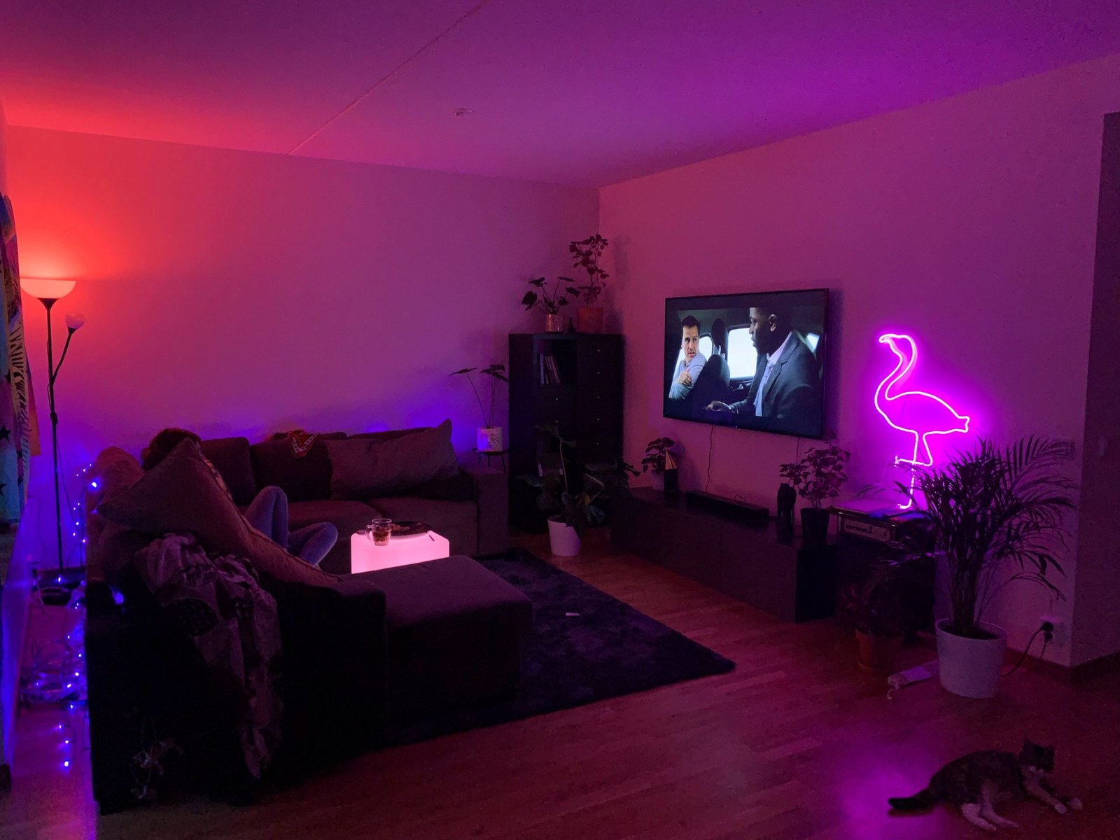 10 Reasons To Order Neon Light Signs For Your Room - Fandomical