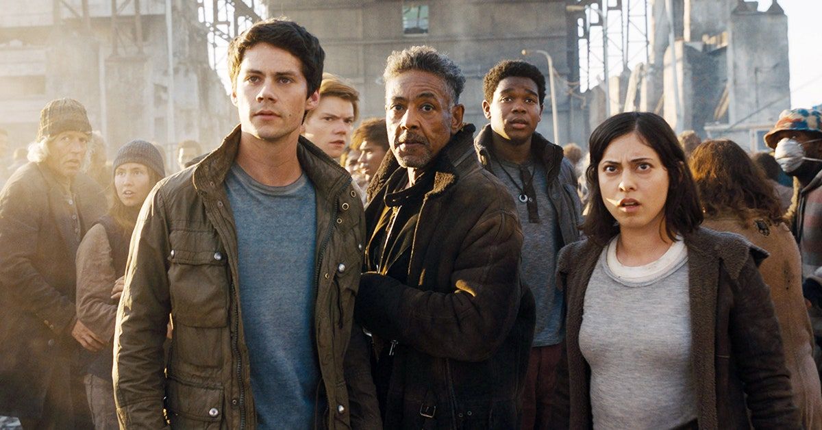 Can You Nail This Maze Runner Quiz? - Fandomical